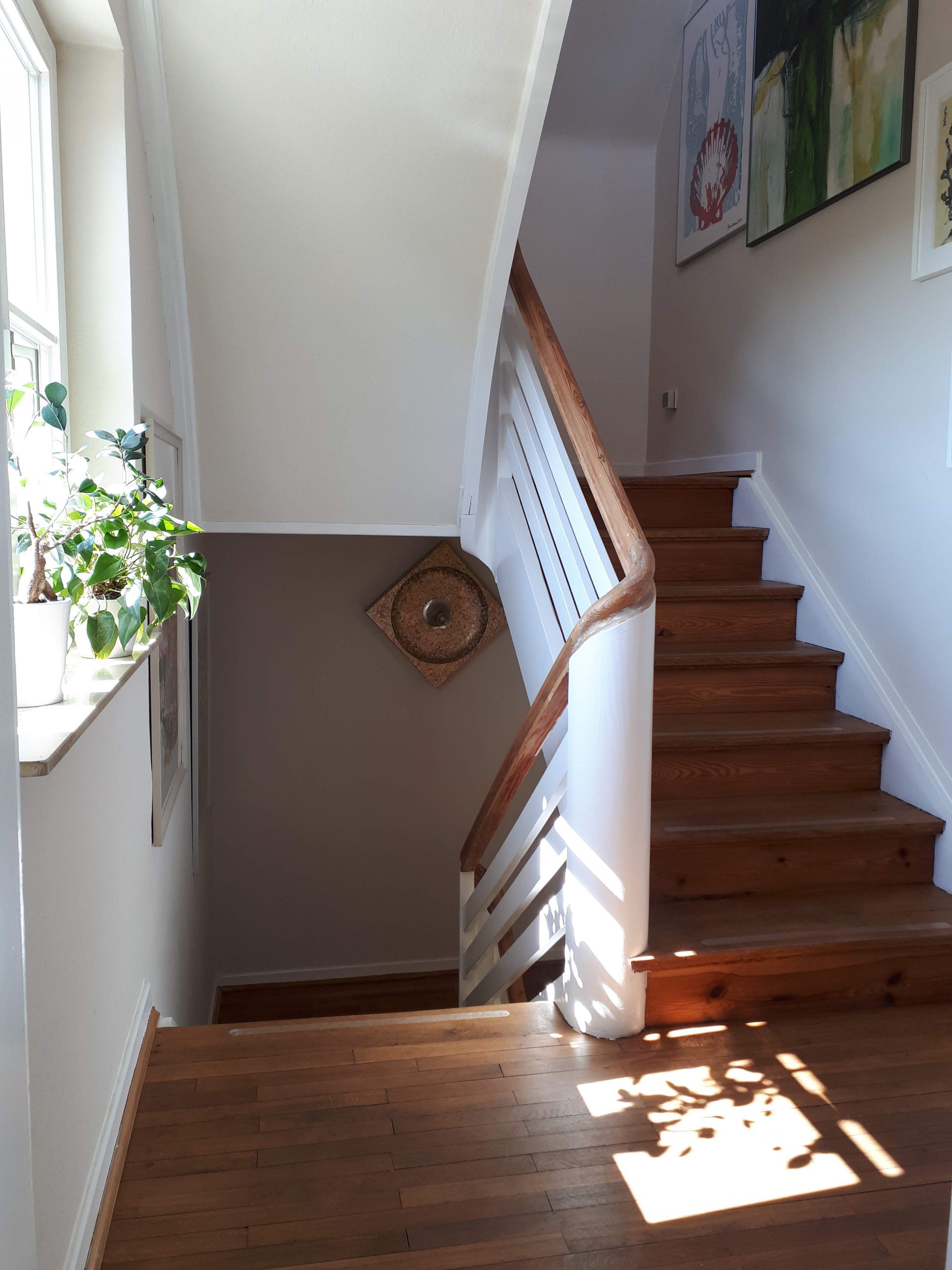 Das Kellergeschoss - Romantikgarten in Nordhessen